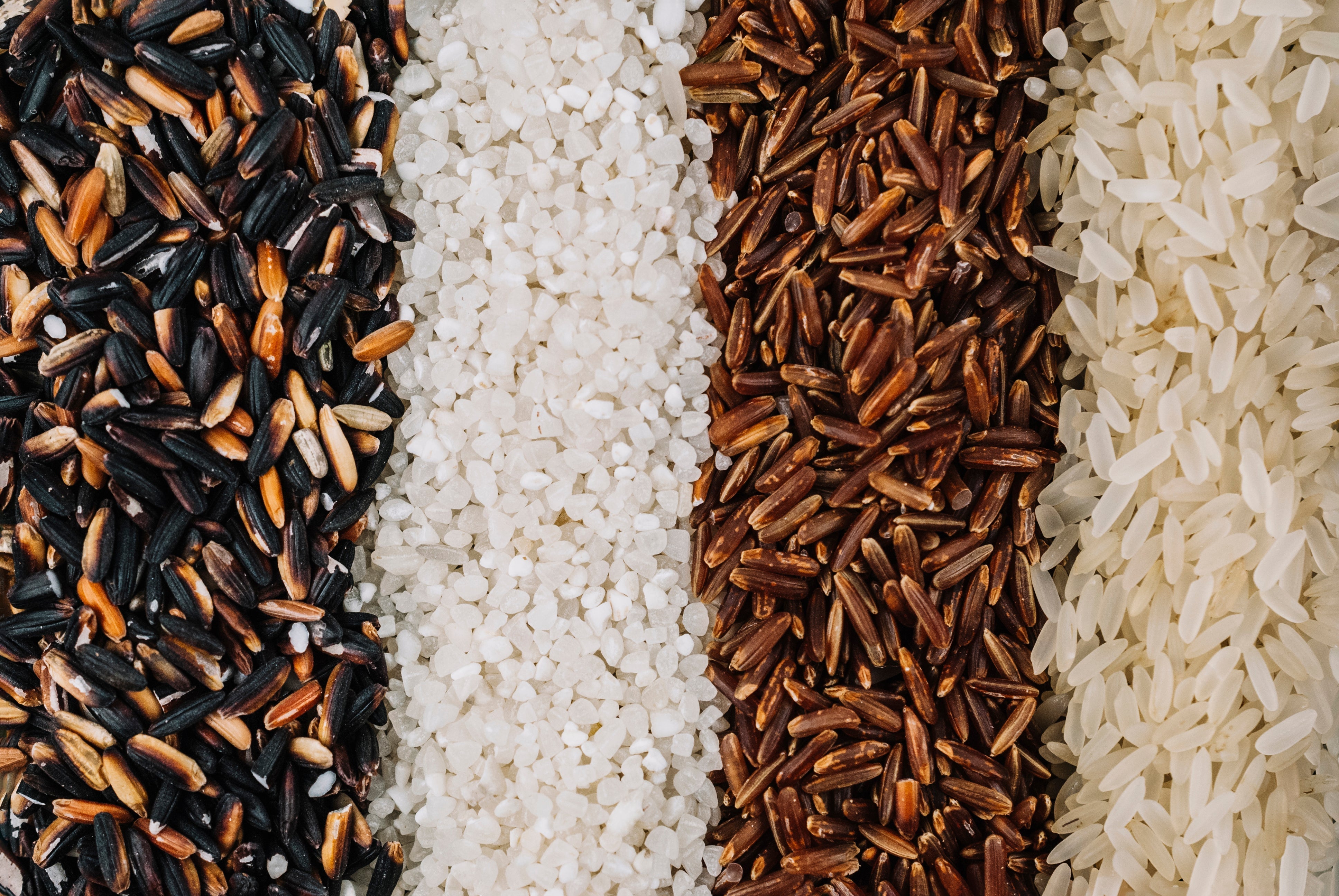 Quel Type de Riz Choisir pour son Cuiseur Vapeur ? Le Guide Complet ...